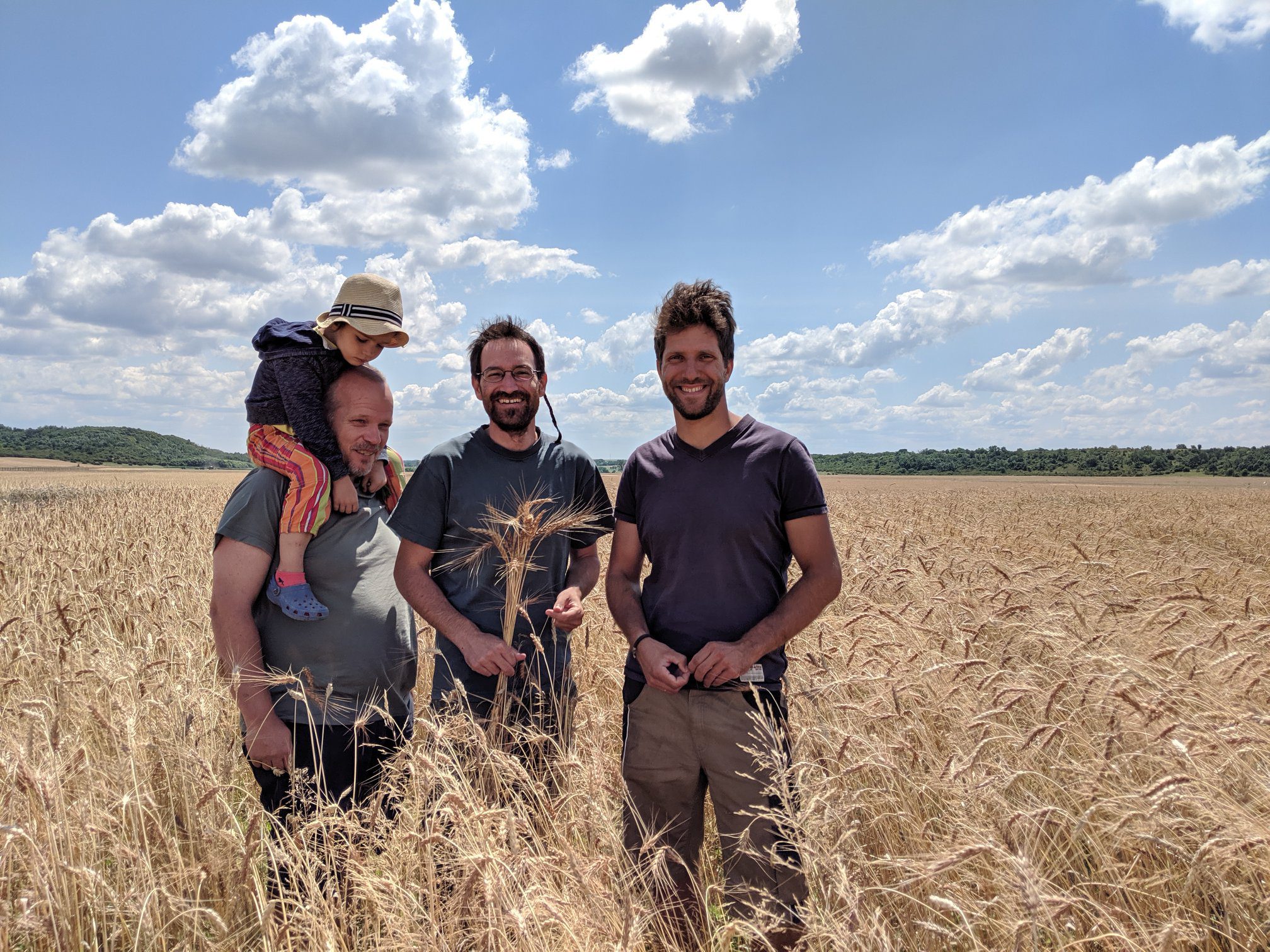 Alternative grain economies – pathways to outscaling | European ...